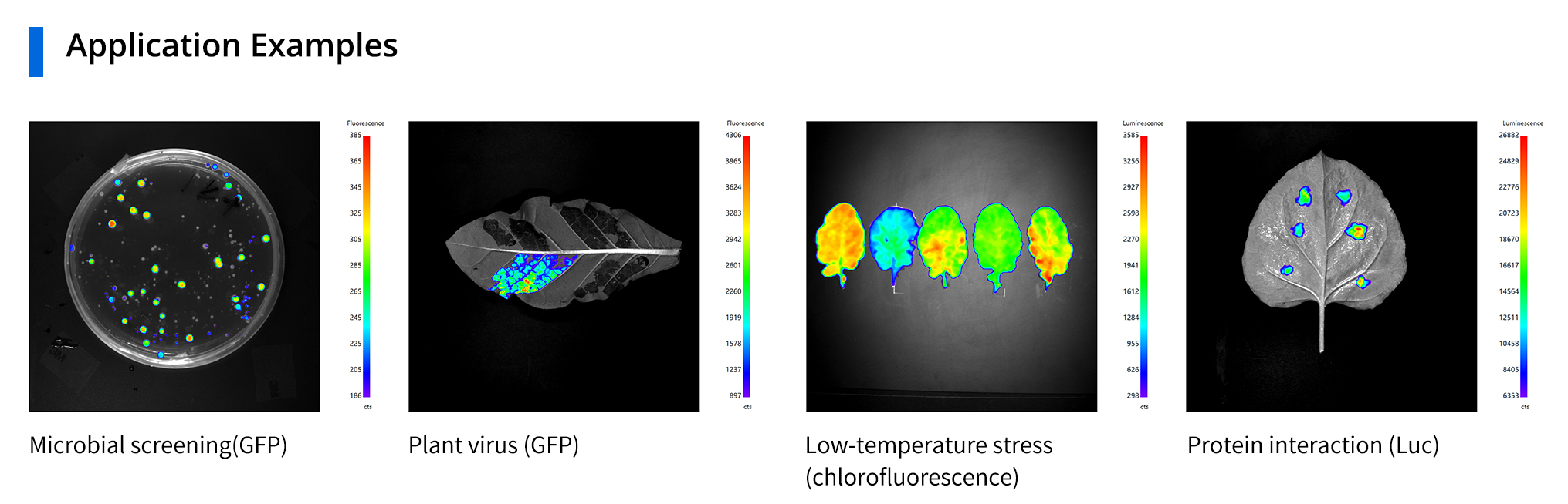 PlantView 600 In Vivo Plant Imaging System – Image Science